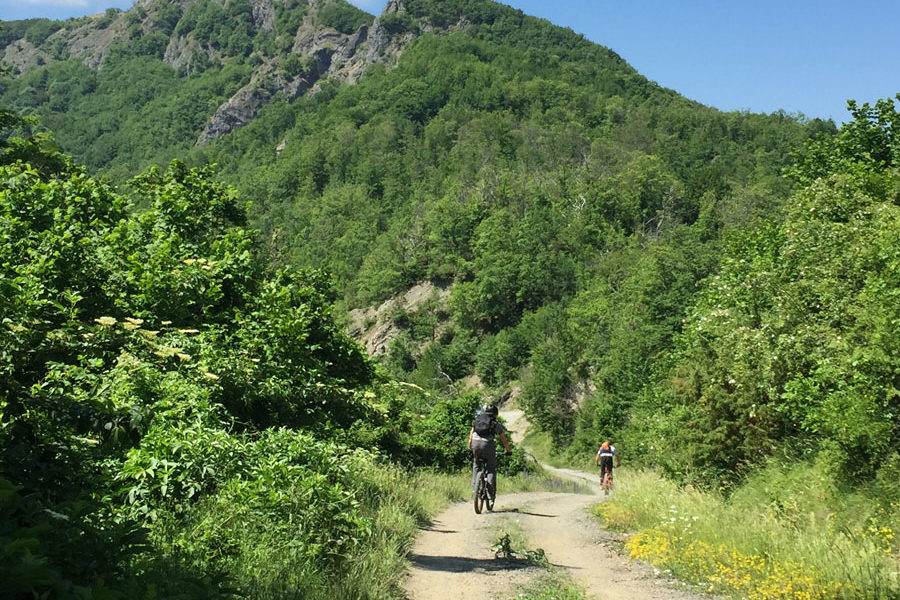 Guide Ambientali Escursionistiche Valtaro e Valceno